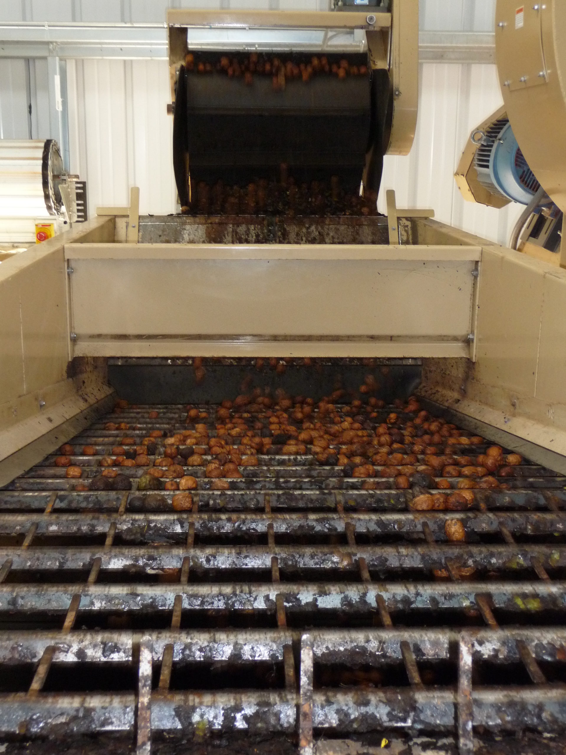 Walnut Huller Gallery | Fillmore Farms